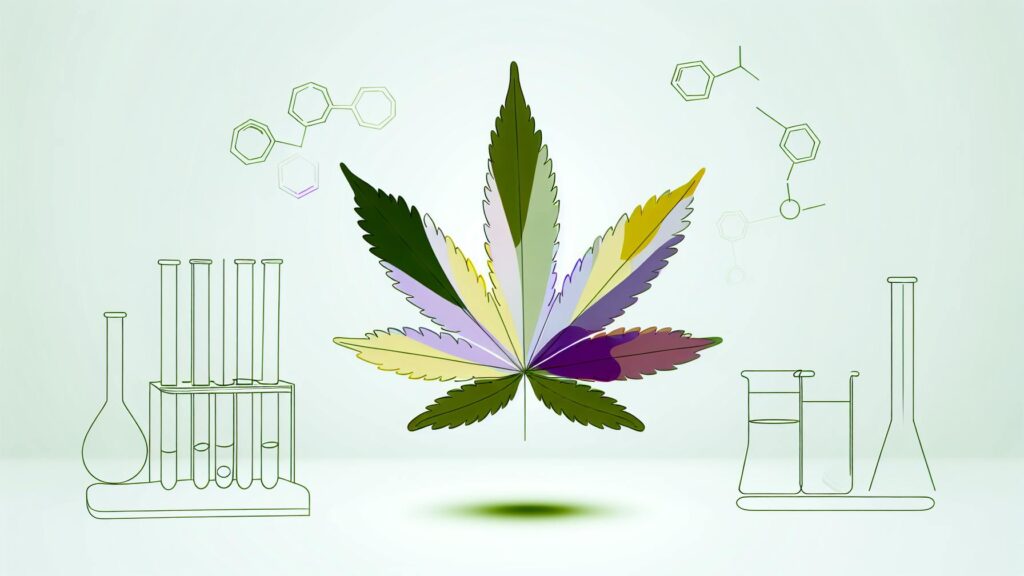 Cannabinoid Profile Testing Explained – ProGrowth